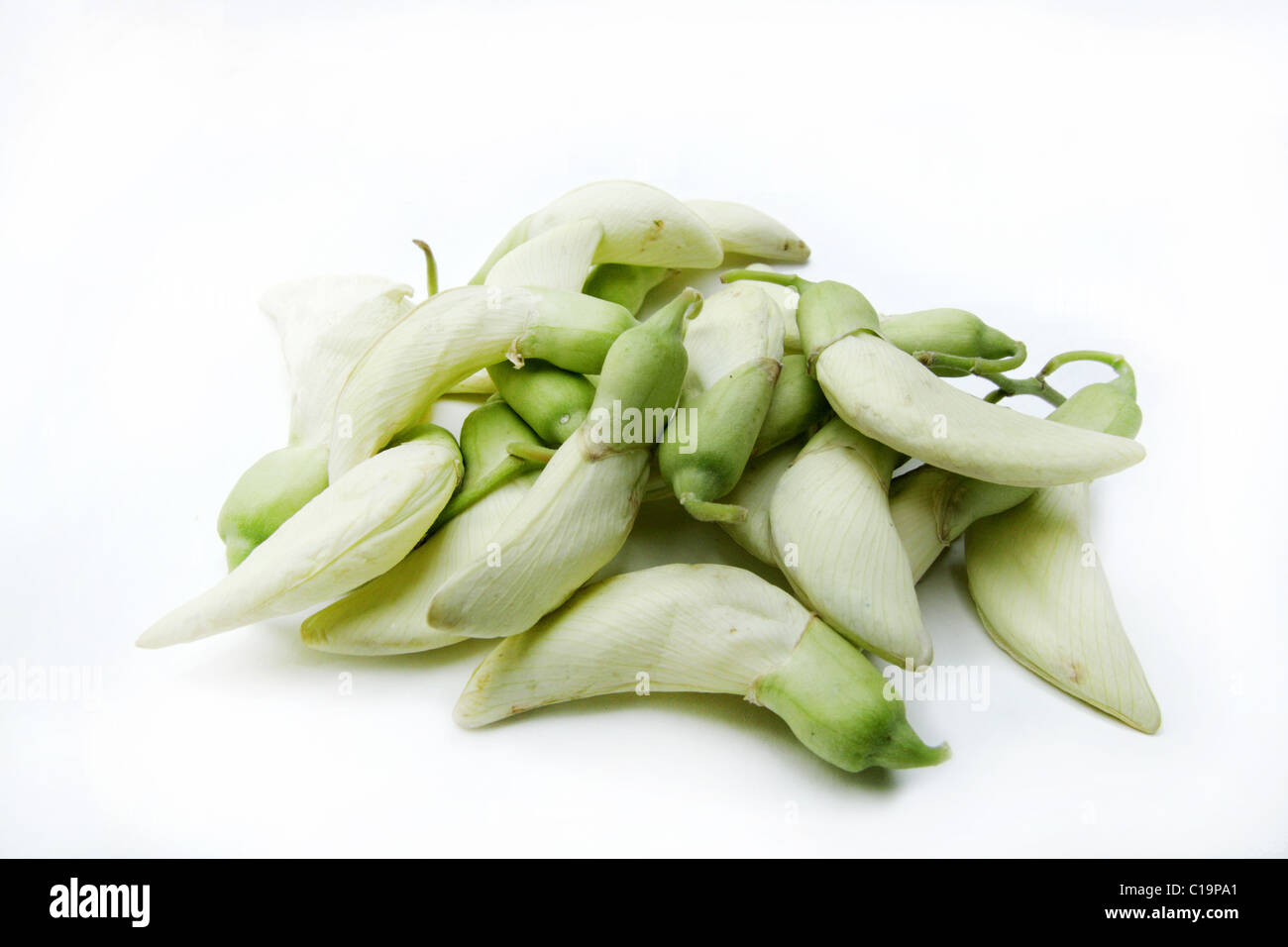 Dok kare , edible flowers Stock Photo - Alamy
