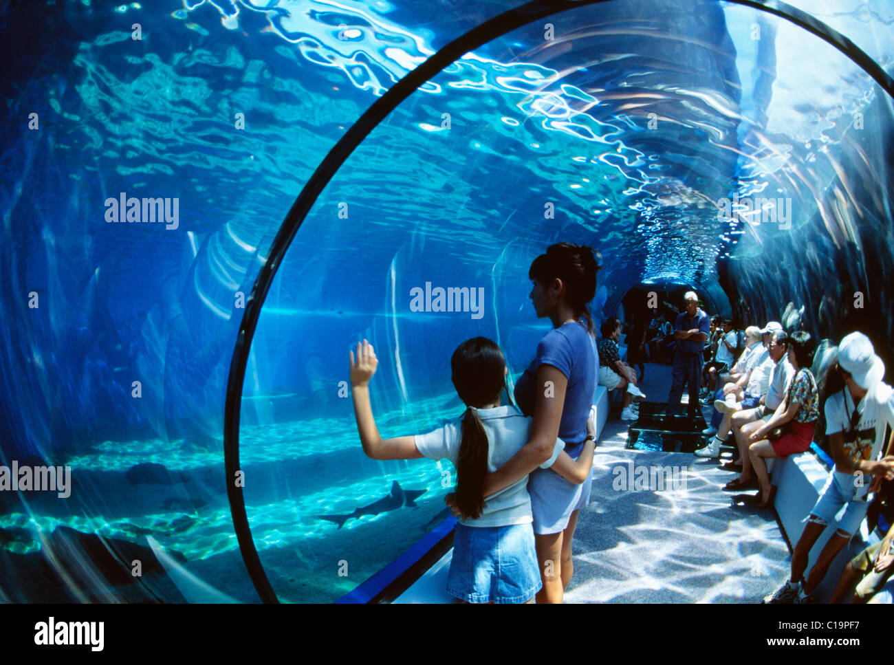 Maui Ocean Center, Hawaii Stock Photo - Alamy
