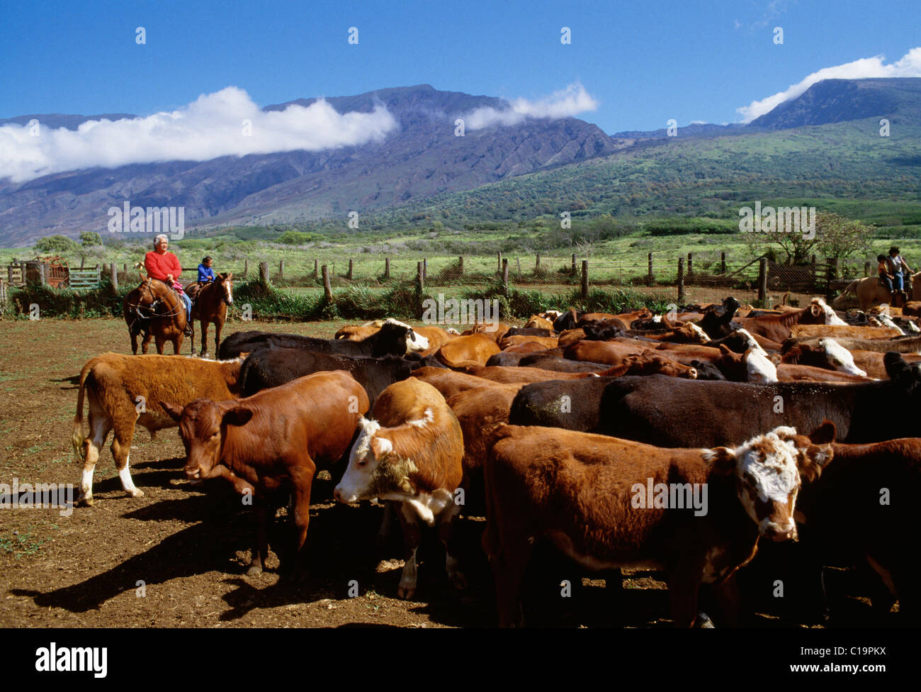 Kaupo ranch, Maui, Hawaii Stock Photo - Alamy