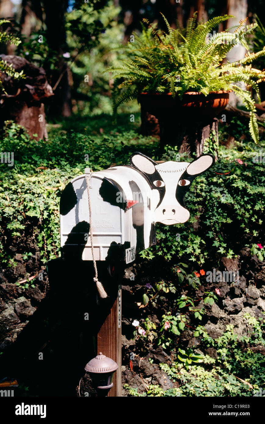 Cow mailbox hi-res stock photography and images - Alamy