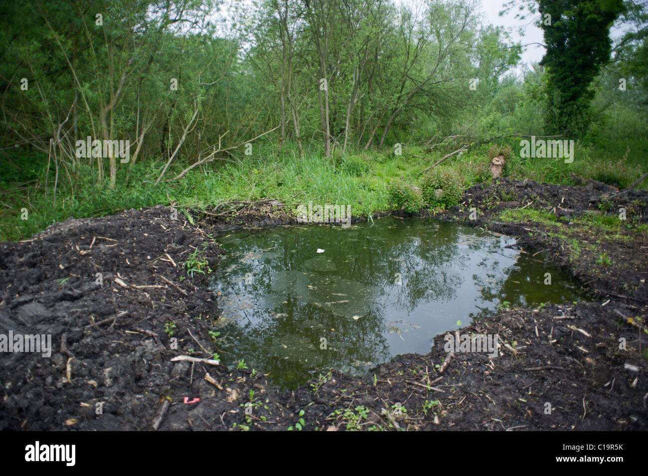 Excavated Pond in Ferry Wood Norfolk Stock Photo - Alamy