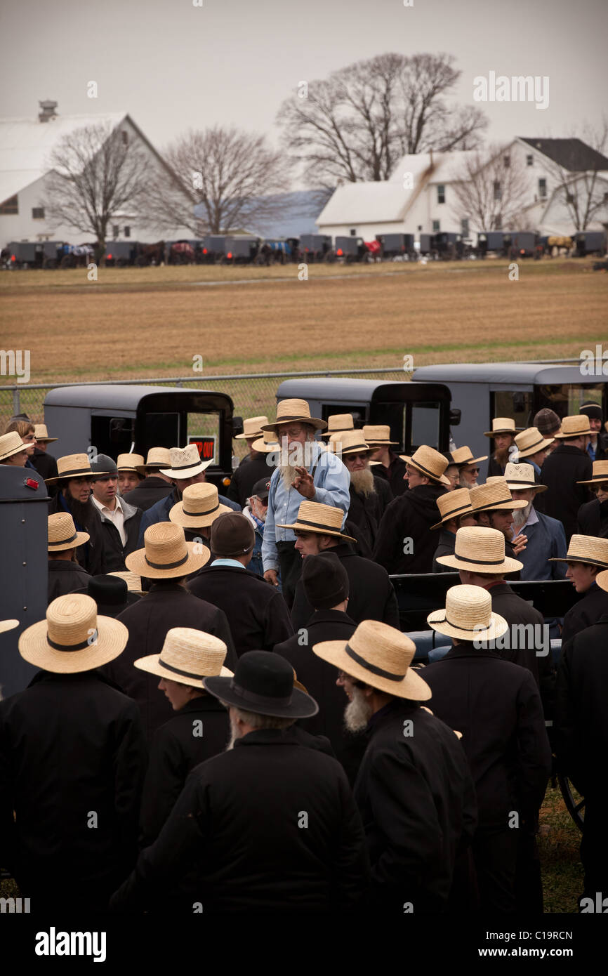Amish men bid on horse buggies during the Annual Mud Sale to support ...