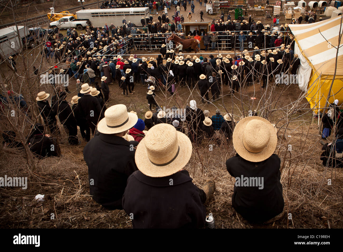 Amish men watch the horse auction during the Annual Mud Sale to support ...