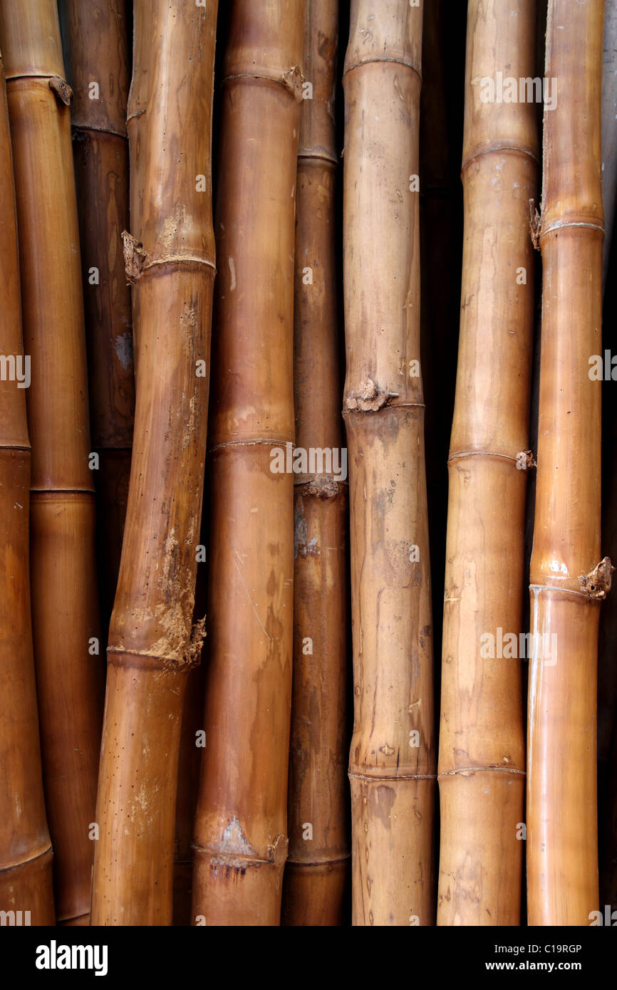 dried bamboo cane pattern trunk texture Stock Photo - Alamy