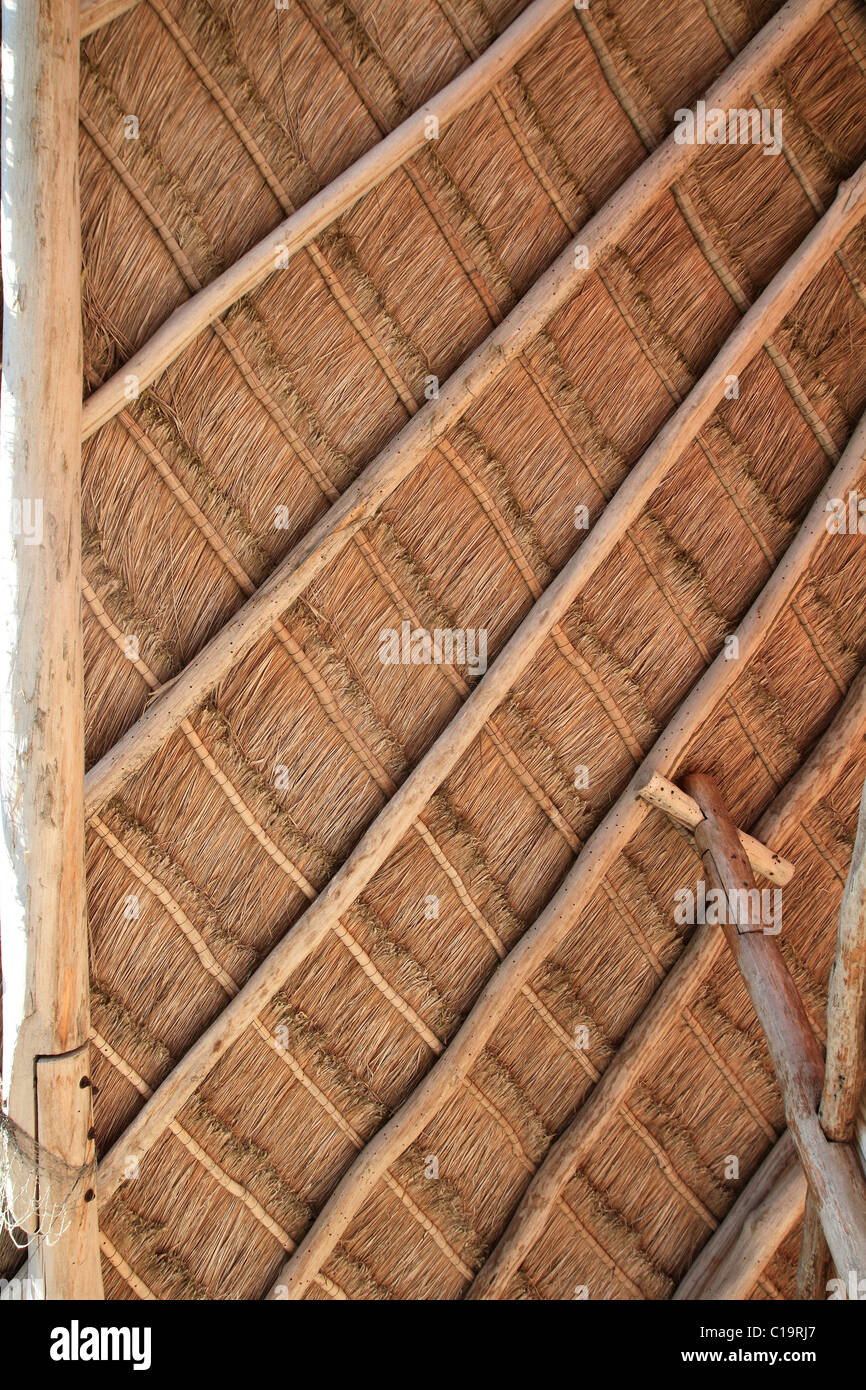 perfect palapa tropical Mexico wood cabin roof detail Stock Photo - Alamy