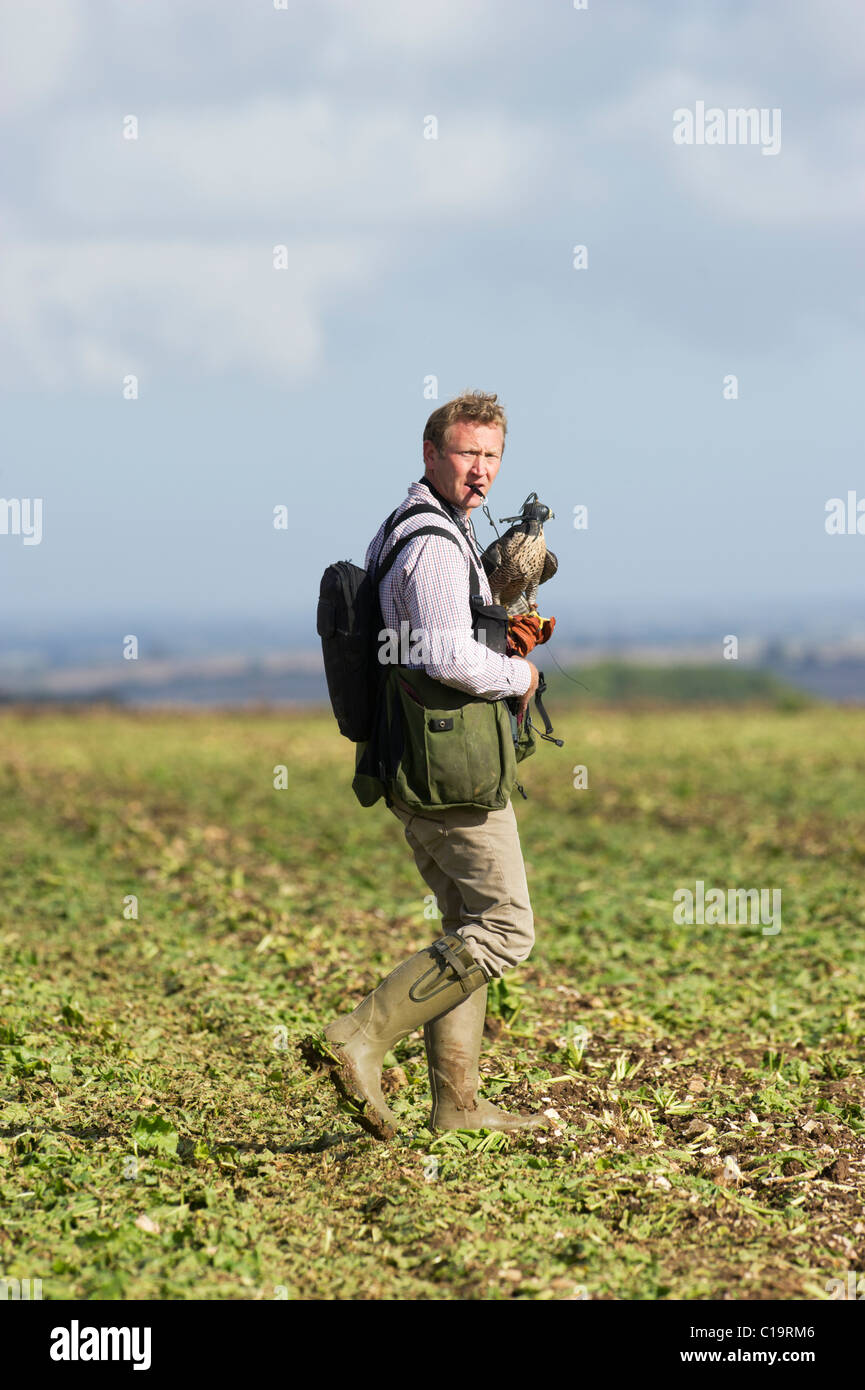 Andy falconer hi-res stock photography and images - Alamy