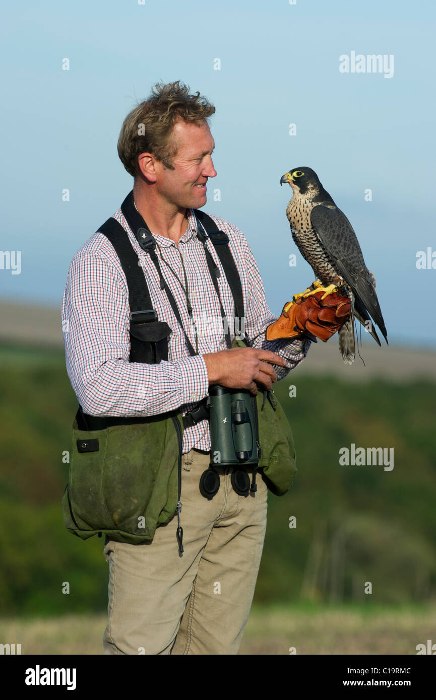 British falconry hi-res stock photography and images - Alamy