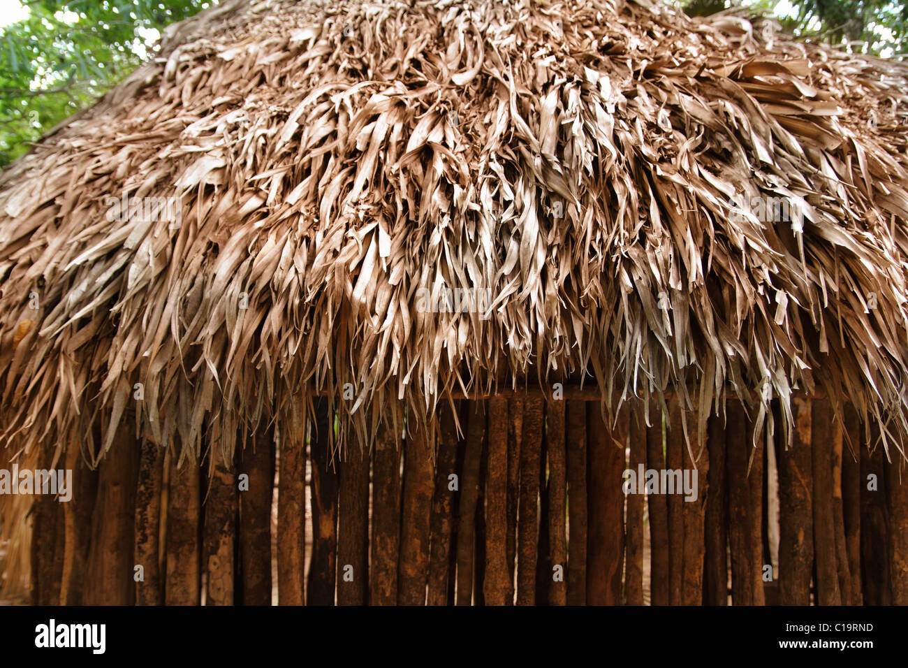 Hut palapa mexican jungle Mayan house roof wall detail Stock Photo - Alamy