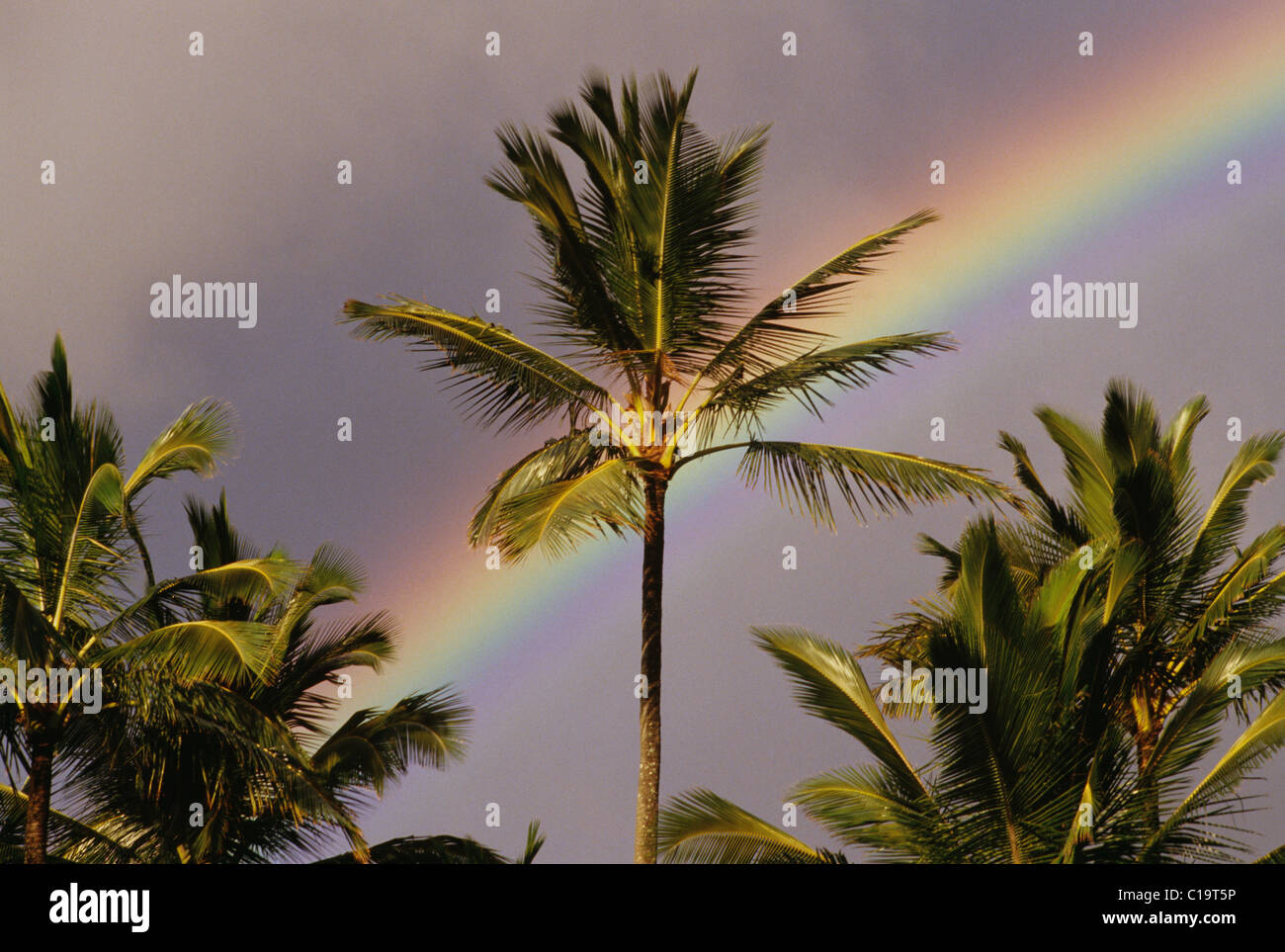 Behind rainbow hi-res stock photography and images - Alamy