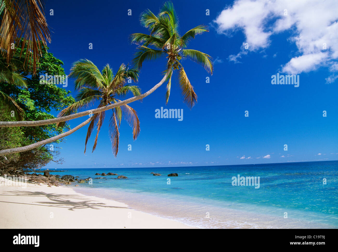 Beach, Kadavu, Fiji Stock Photo - Alamy