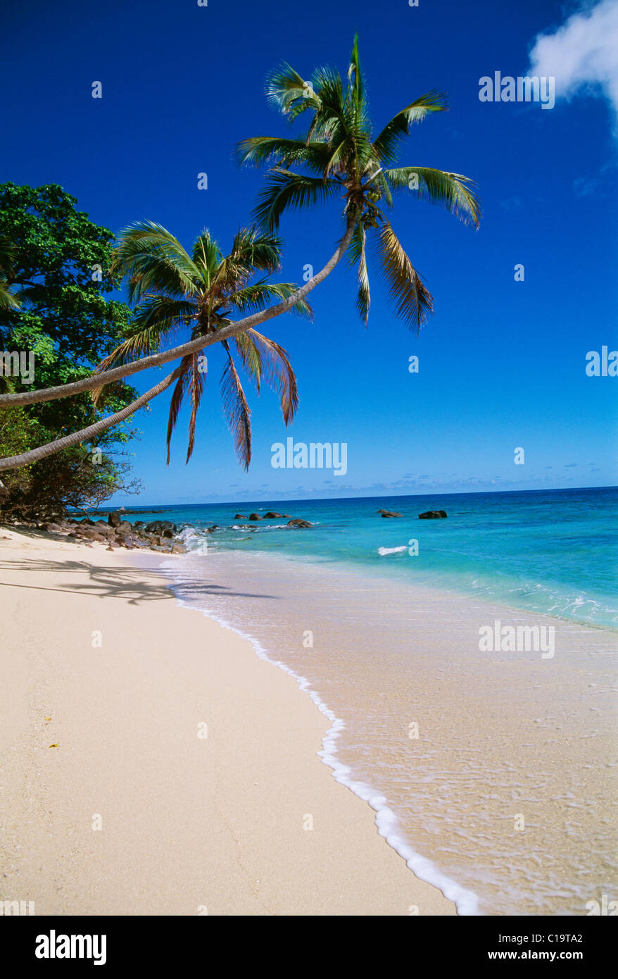 Beach, Kadavu, Fiji Stock Photo - Alamy
