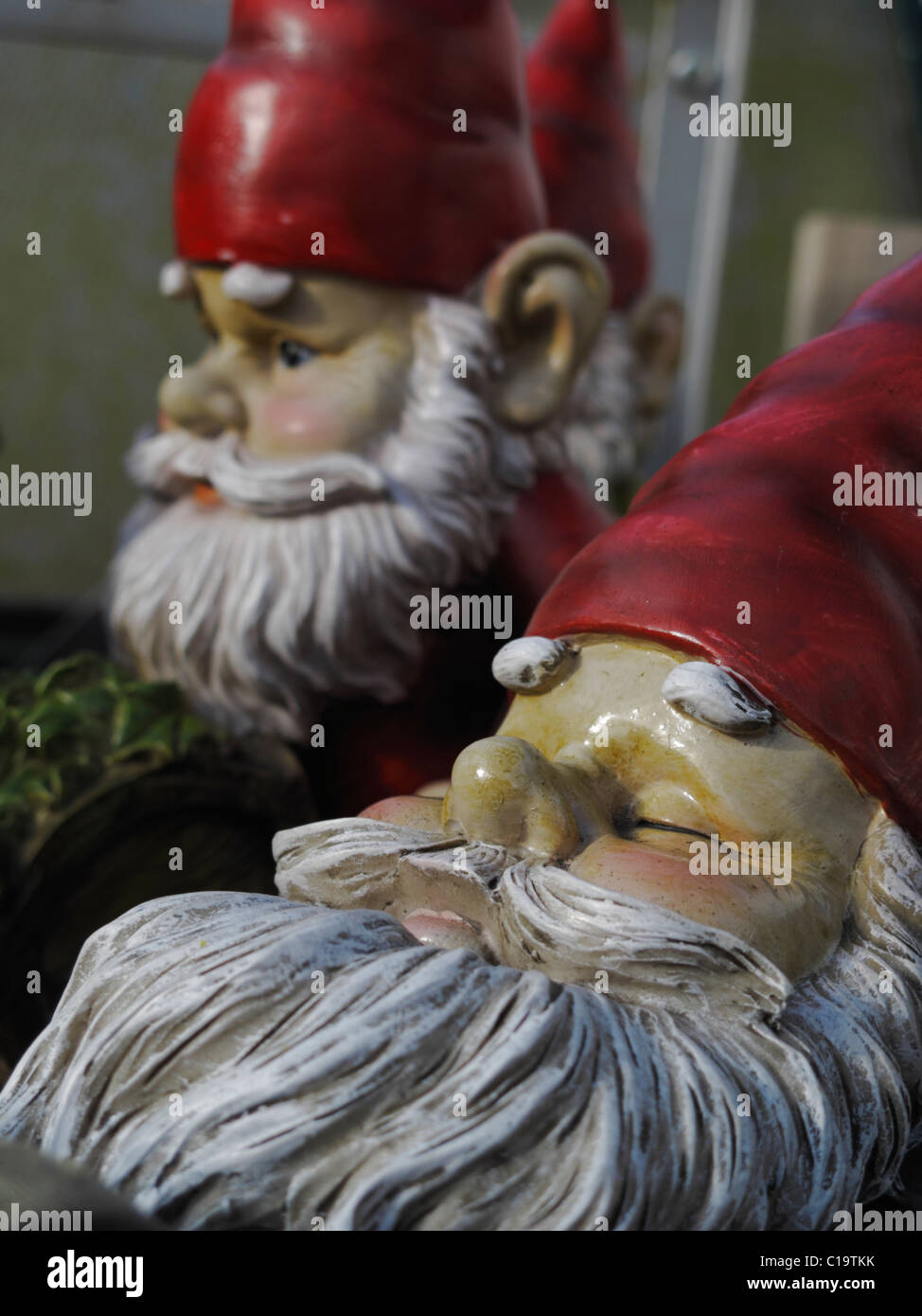Funny garden gnomes hi-res stock photography and images - Alamy