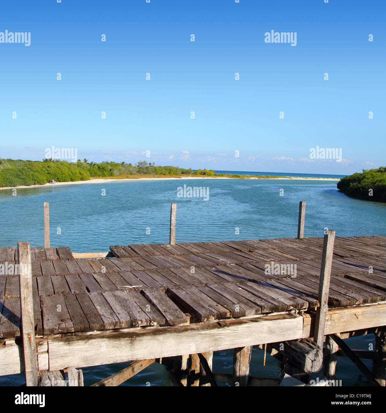 aged tropical wood bridge in Sian Kaan Tulum mexico Stock Photo - Alamy