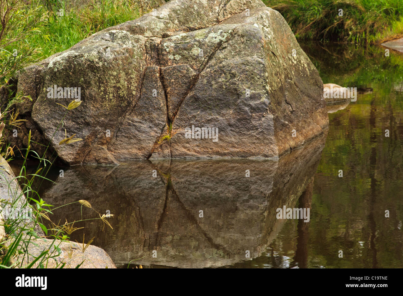 Maidenwell queensland hi-res stock photography and images - Alamy