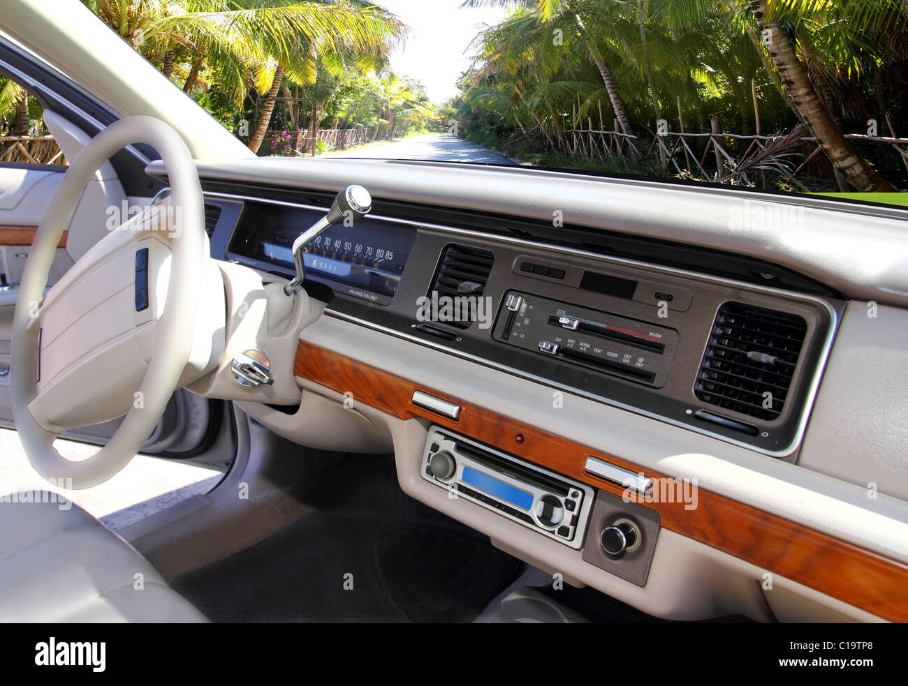 Retro palm tree hi-res stock photography and images - Alamy