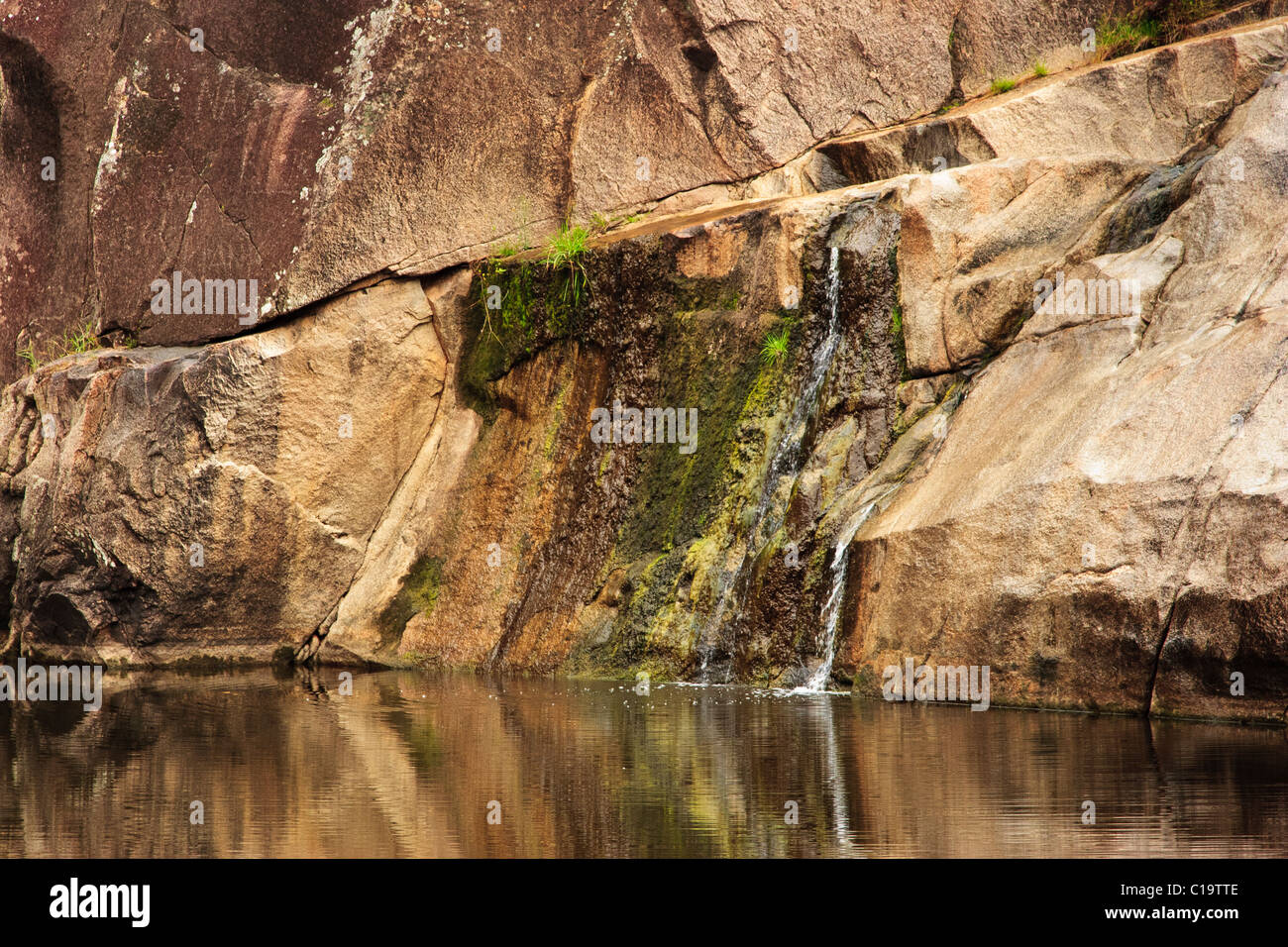 Maidenwell queensland hi-res stock photography and images - Alamy