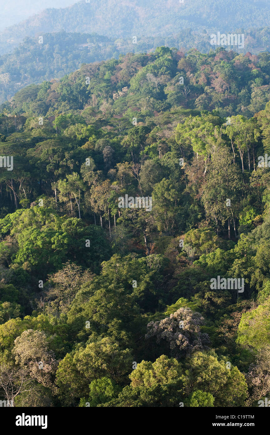 Kerala mountain hi-res stock photography and images - Alamy