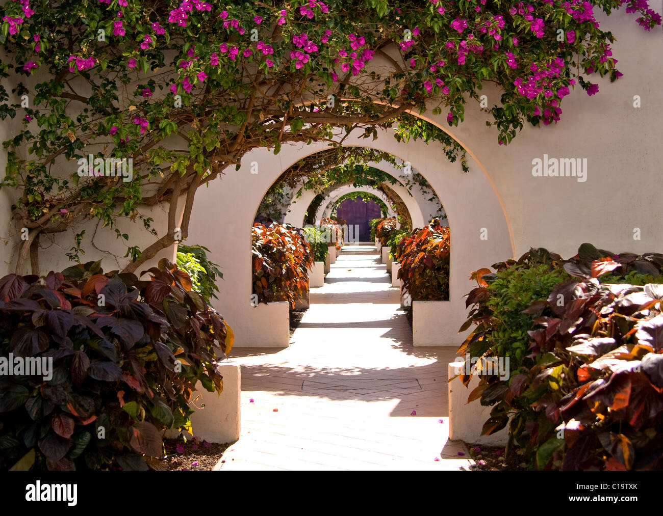 Spanish arches hi-res stock photography and images - Alamy