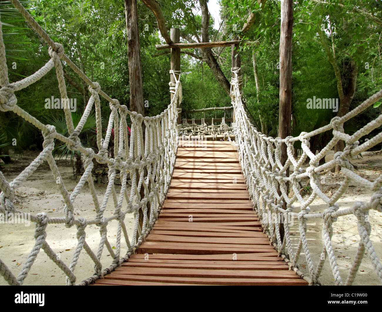 Adventure wooden rope suspension bridge in jungle rainforest Stock ...