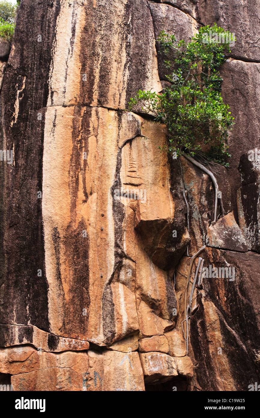 Maidenwell queensland hi-res stock photography and images - Alamy