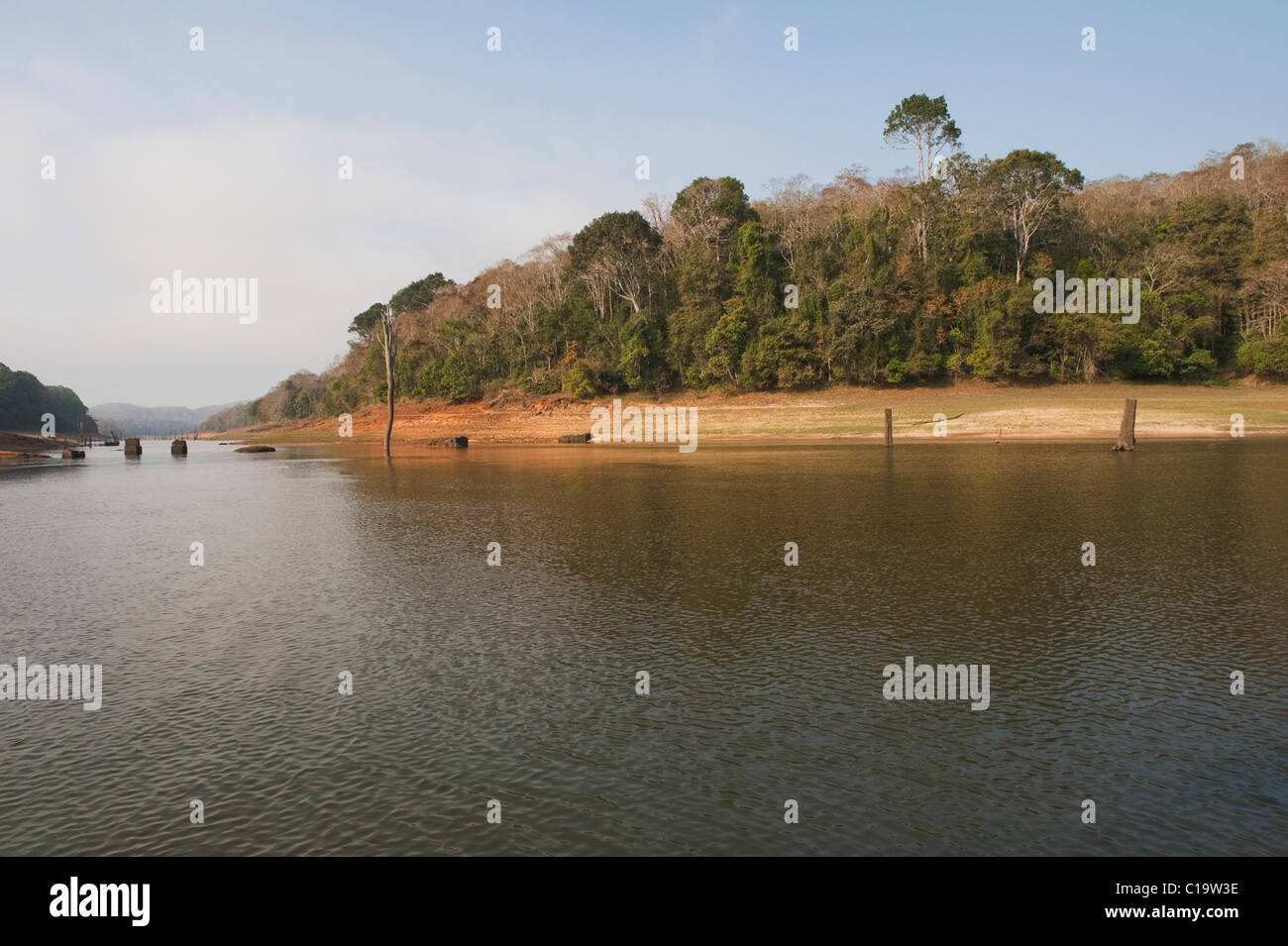 Lake in a forest, Thekkady Lake, Thekkady, Periyar National Park ...
