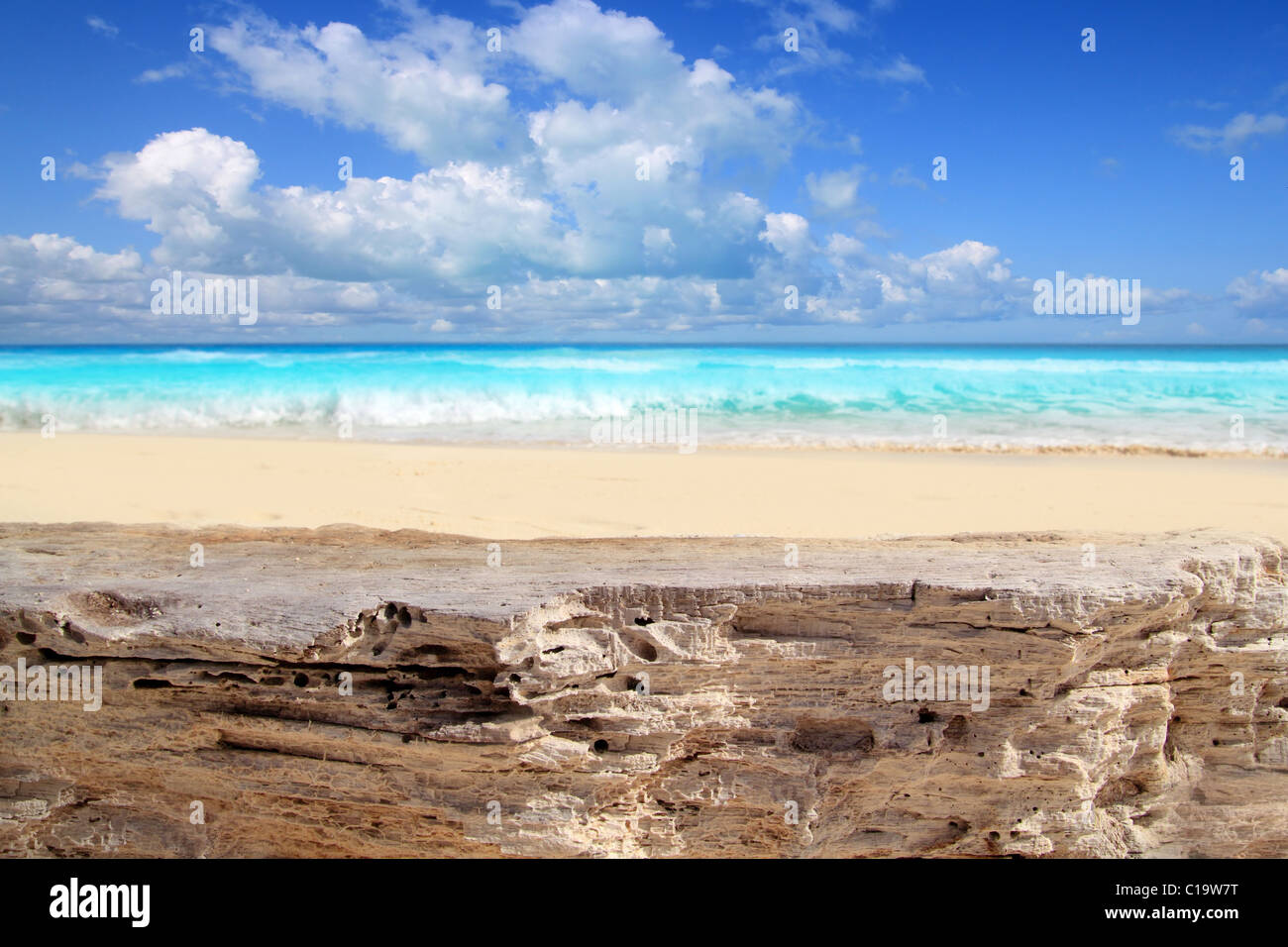 Caribbean tropical beach from weathered limestone on sea Stock Photo ...