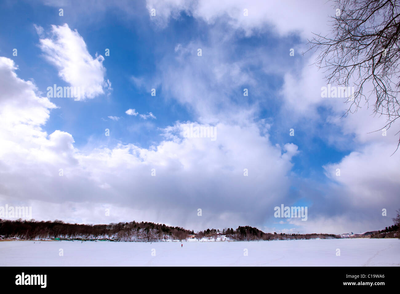 Edsviken in winter Stock Photo - Alamy