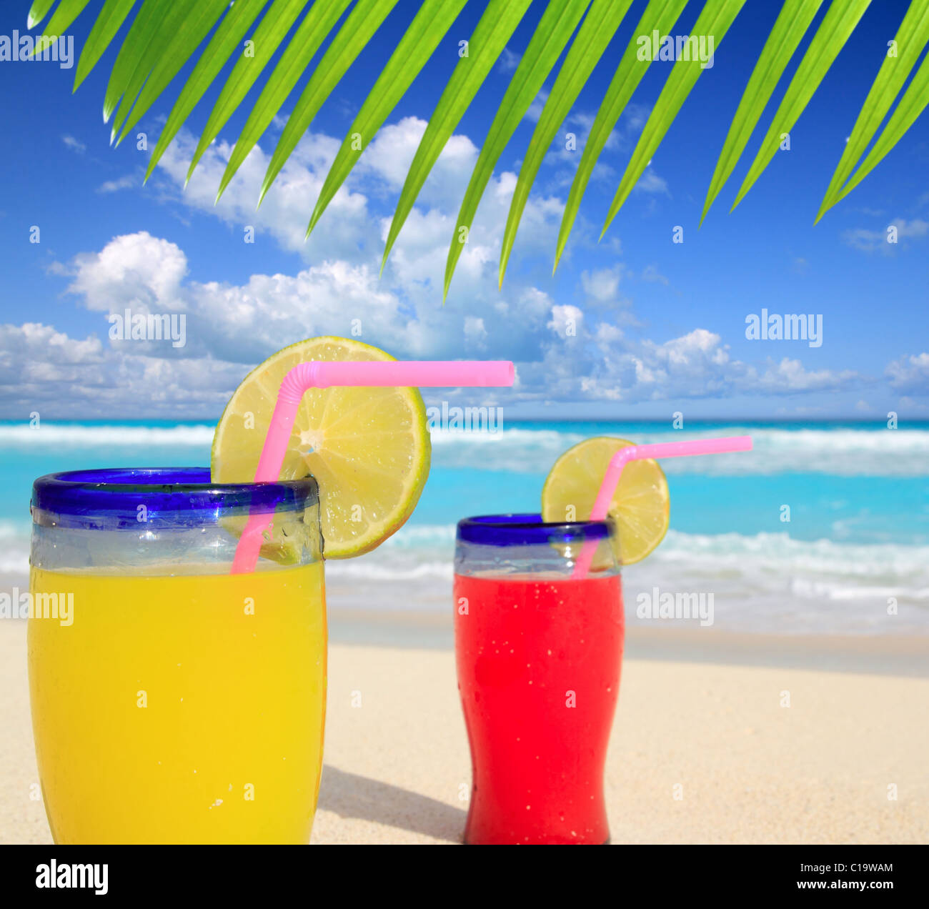 beach tropical cocktails palm tree leafl turquoise beach on Caribbean ...