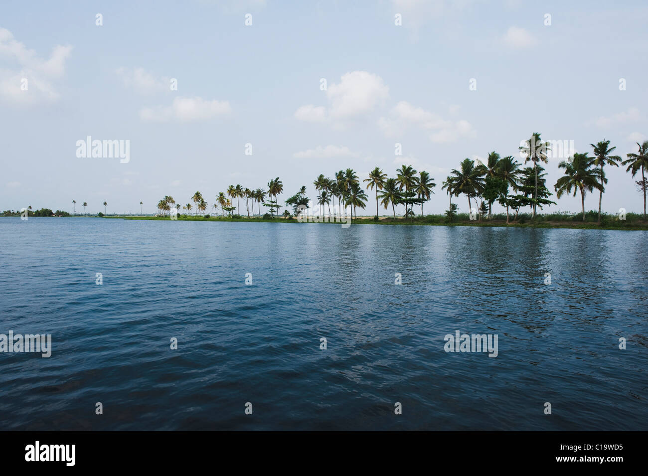 Panoramic view of a lagoon, Kerala Backwaters, Alleppey, Alappuzha ...