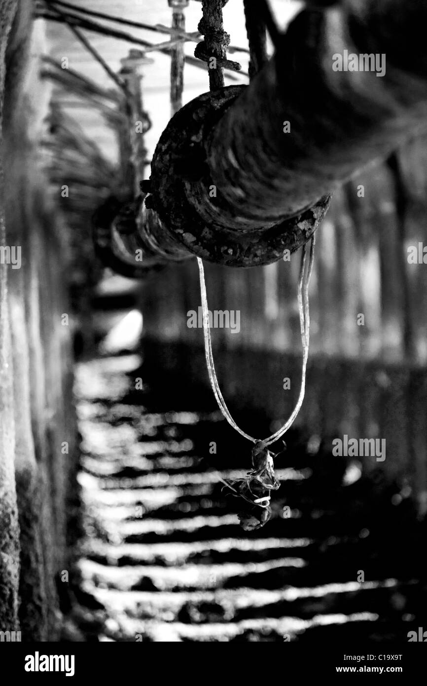 Black and white view of under some very old bridge Stock Photo - Alamy