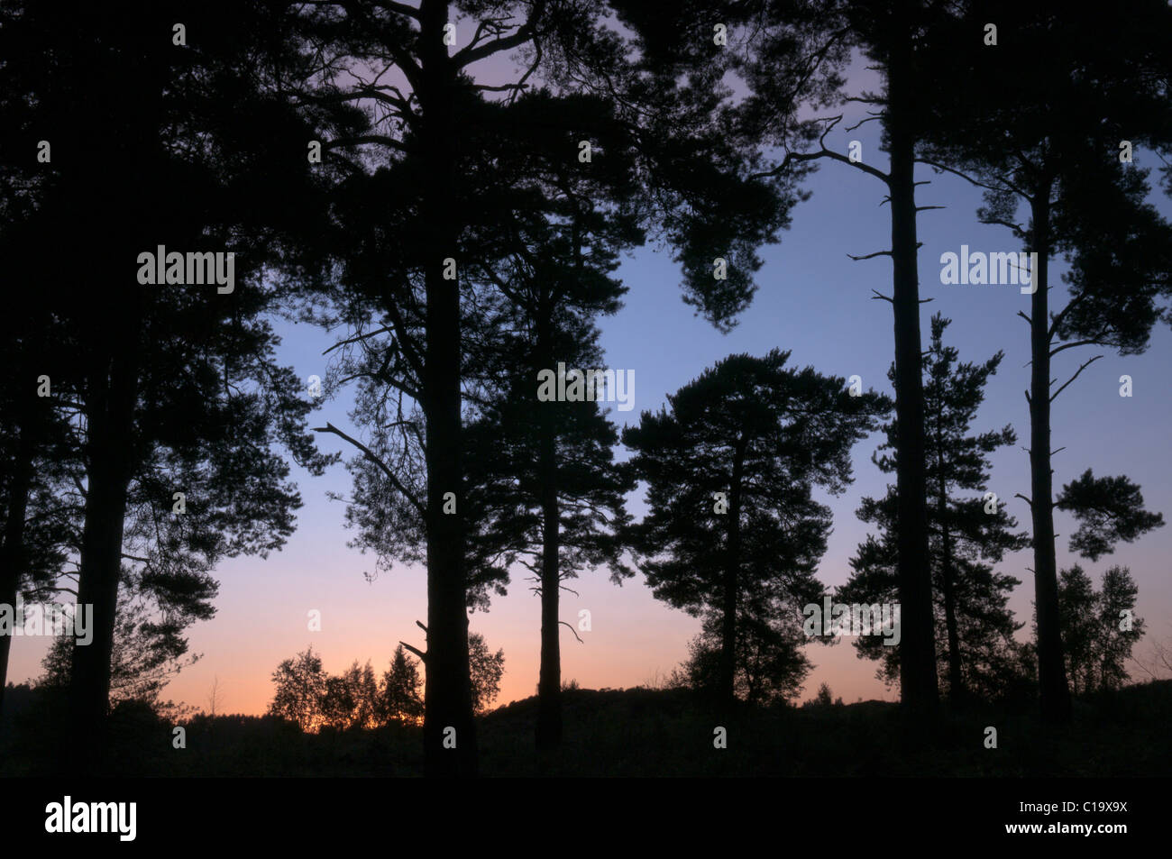 Common shapes hi-res stock photography and images - Alamy