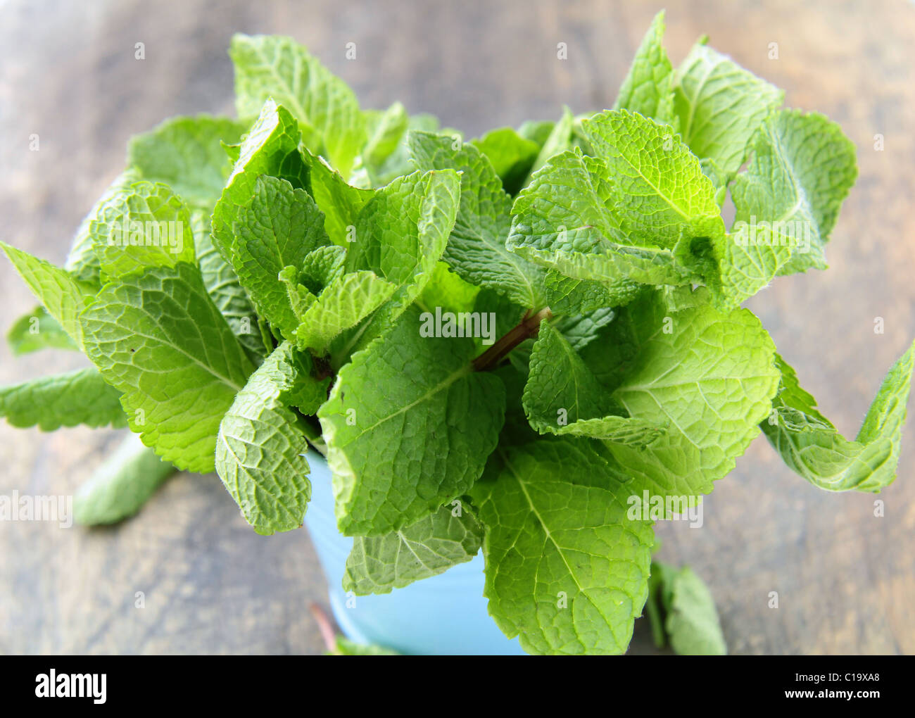 bunch of fresh green mint on wooden cutting board Stock Photo - Alamy