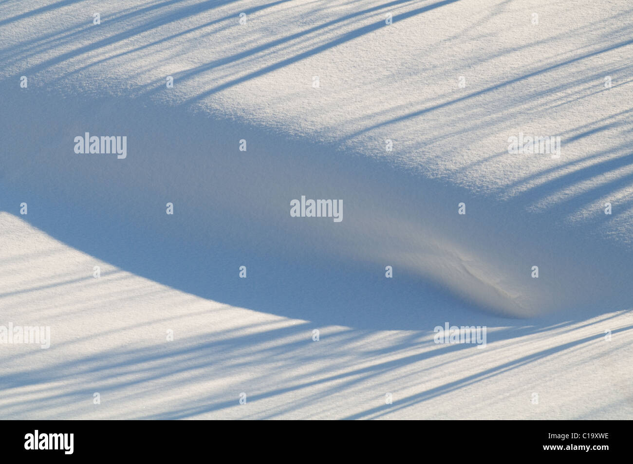 Snowdrift of snow and pattern of dark blue shades from trees. Simple ...