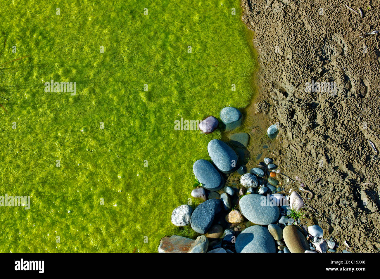 Water surface stones hi-res stock photography and images - Alamy