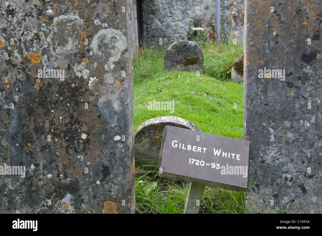 Gilbert white hi-res stock photography and images - Alamy