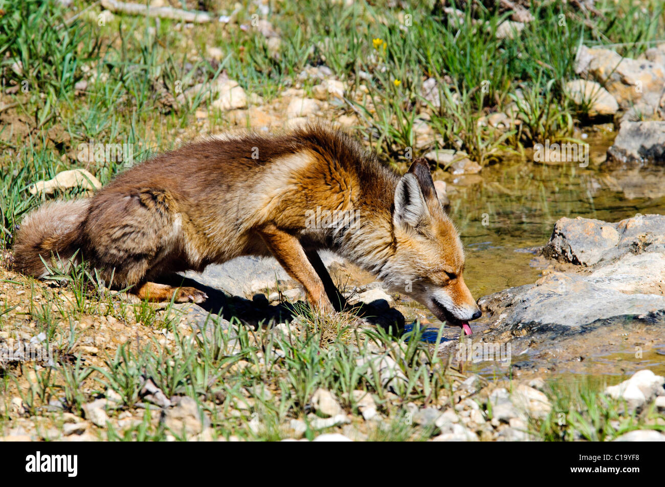 Cazorla national park hi-res stock photography and images - Alamy