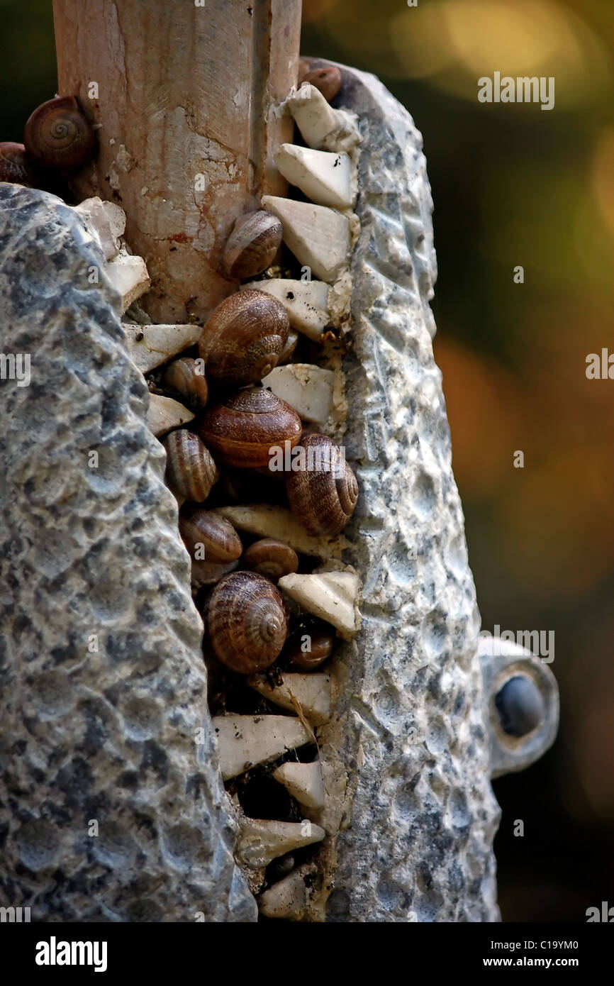 Crazy statue of a stork feeding a croc, with snails on his mouth on a ...