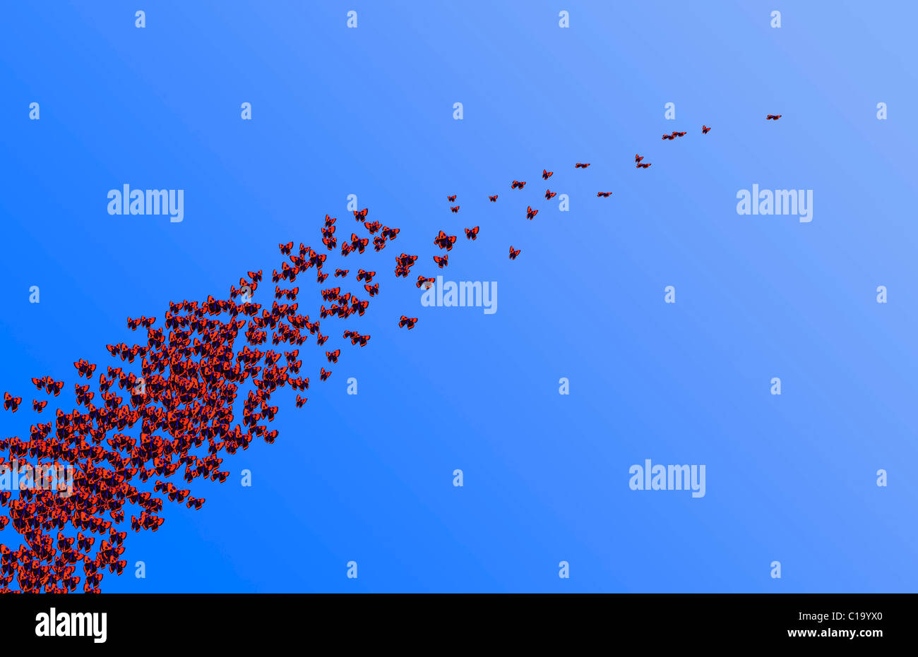 Swarm flying butterflies in the sky hi-res stock photography and images ...
