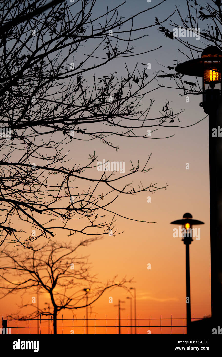 Public park lights and tree branches at dawn Stock Photo - Alamy