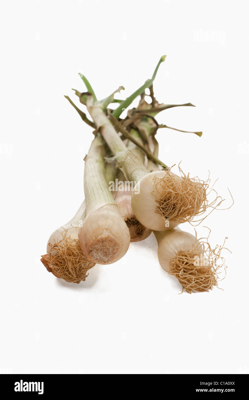 Spring onion cut out hi-res stock photography and images - Alamy