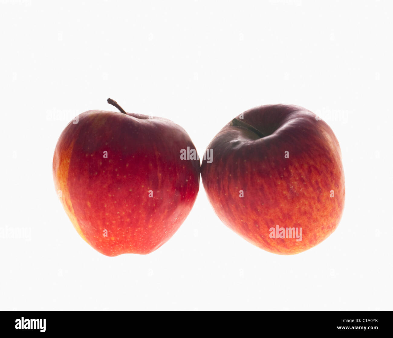 Close up apples Cut Out Stock Images & Pictures - Alamy