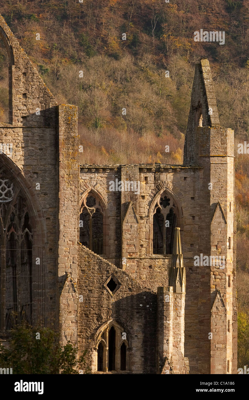 Abbey uk ruins hi-res stock photography and images - Alamy