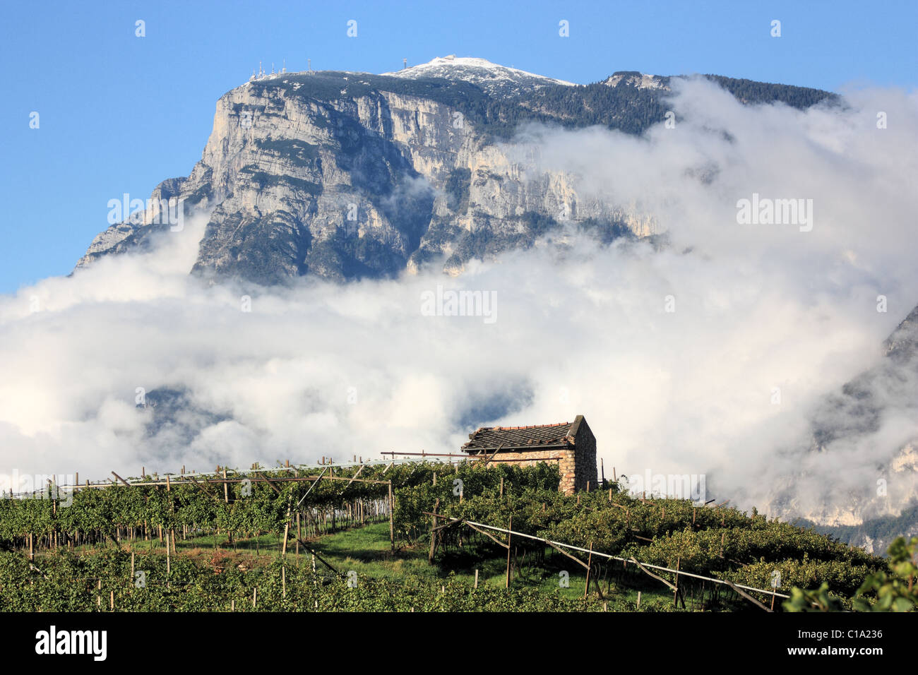 Monte paganella hi-res stock photography and images - Alamy