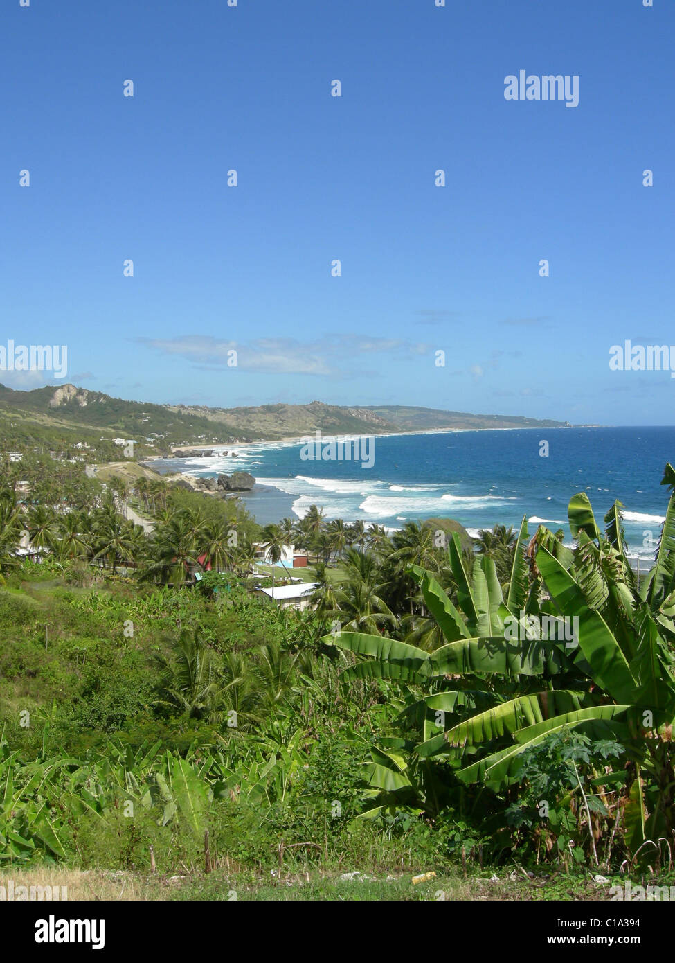 Tobago in the West Indies Stock Photo - Alamy