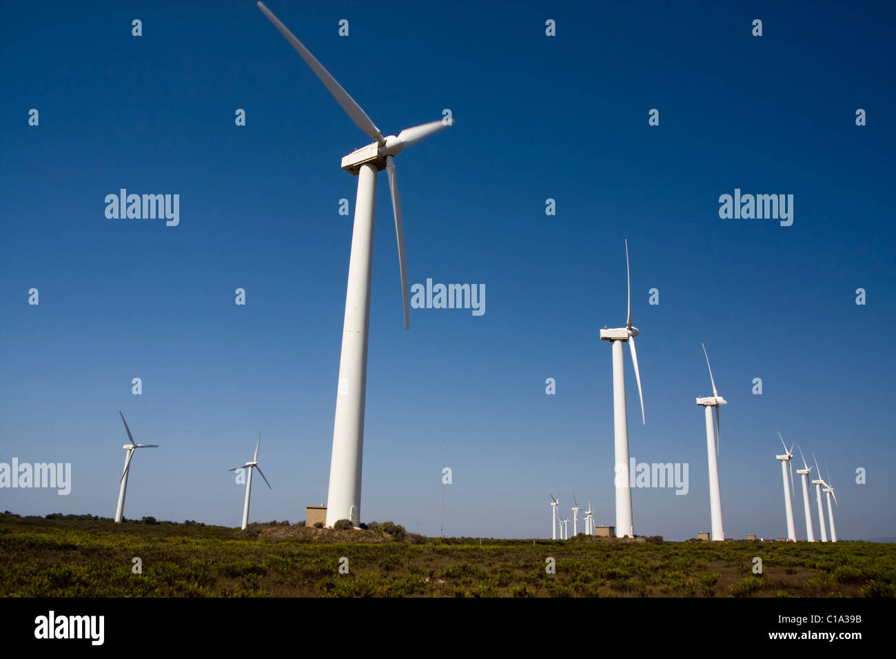 View of a field of giant windmills Stock Photo - Alamy