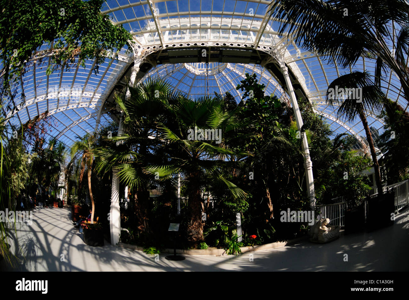 The Palm House in Sefton Park, Liverpool, England Stock Photo - Alamy