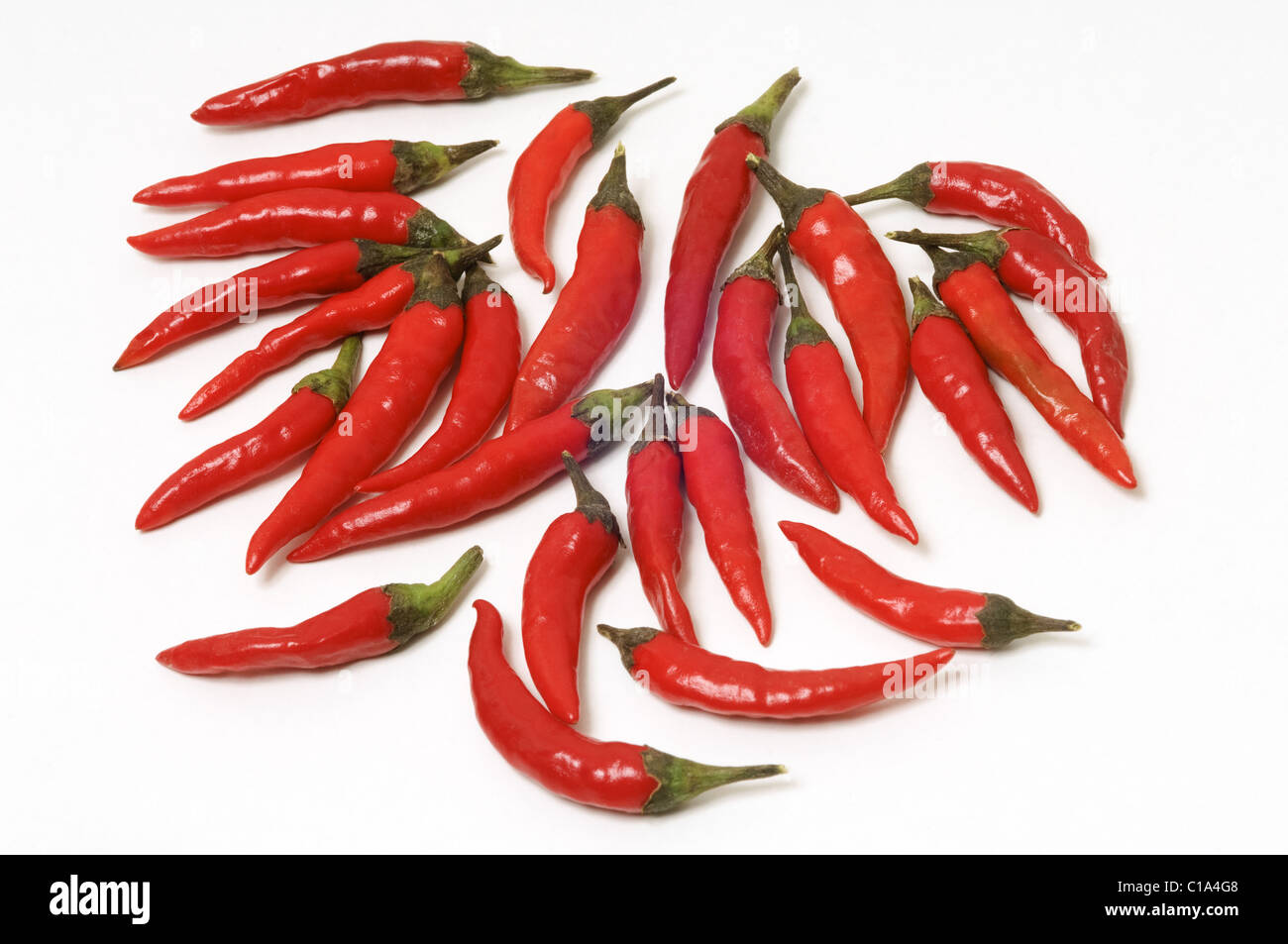 Bird's Eye Chilli peppers on white background Stock Photo - Alamy