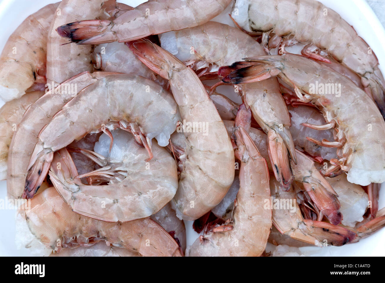 Edible mantis shrimp hi-res stock photography and images - Alamy