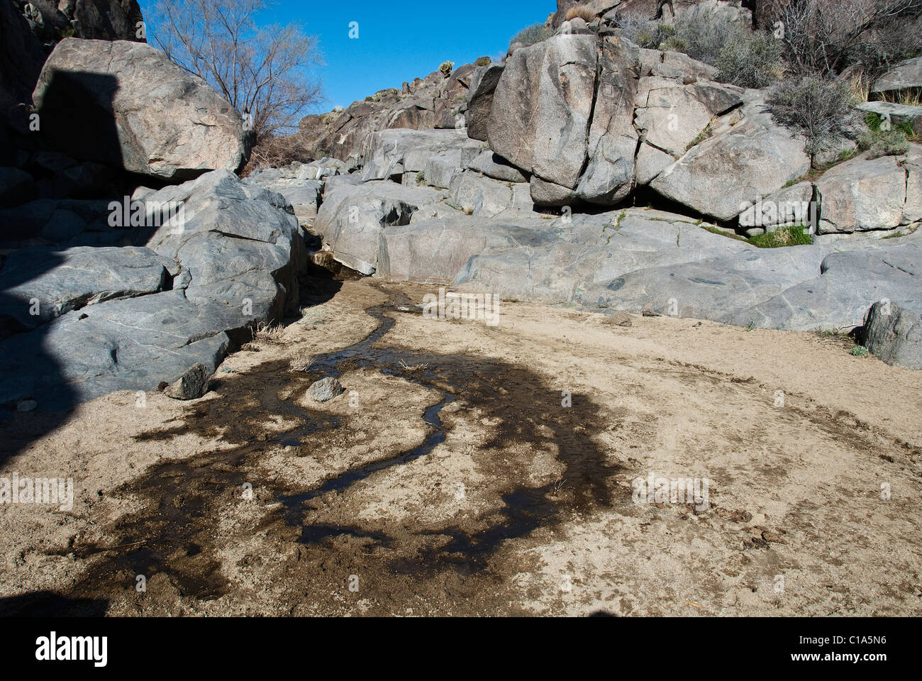 Rock Spring Rock Spring Loop Trail Mojave National Preserve California ...