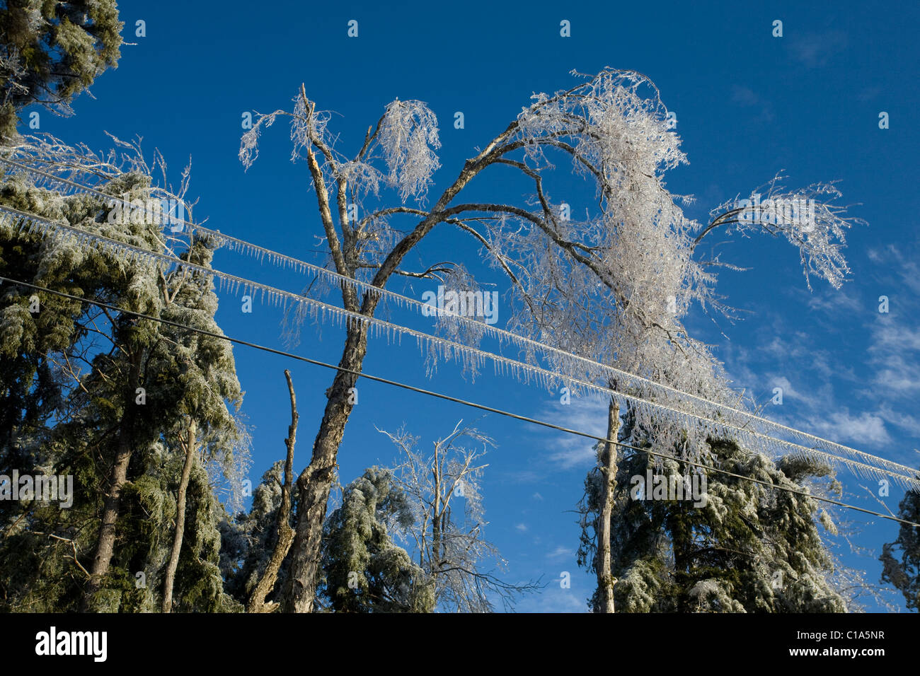 Ice covered wires hi-res stock photography and images - Alamy